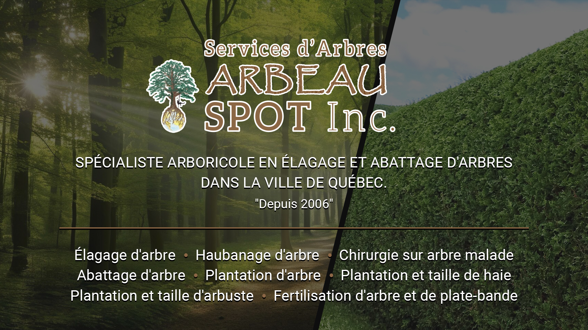 Nos Services | Arbeau Spot Inc. - Expert arboriculteur et élagueur